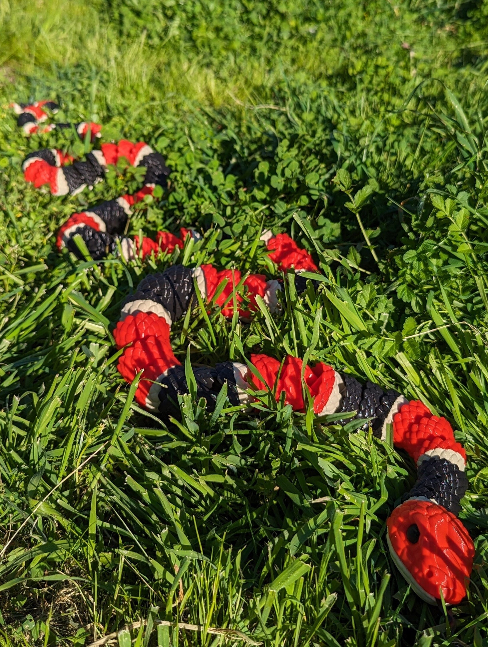 GIANT 3D Printed King Snake: 6-foot Multicolor Lifelike Model - Etsy