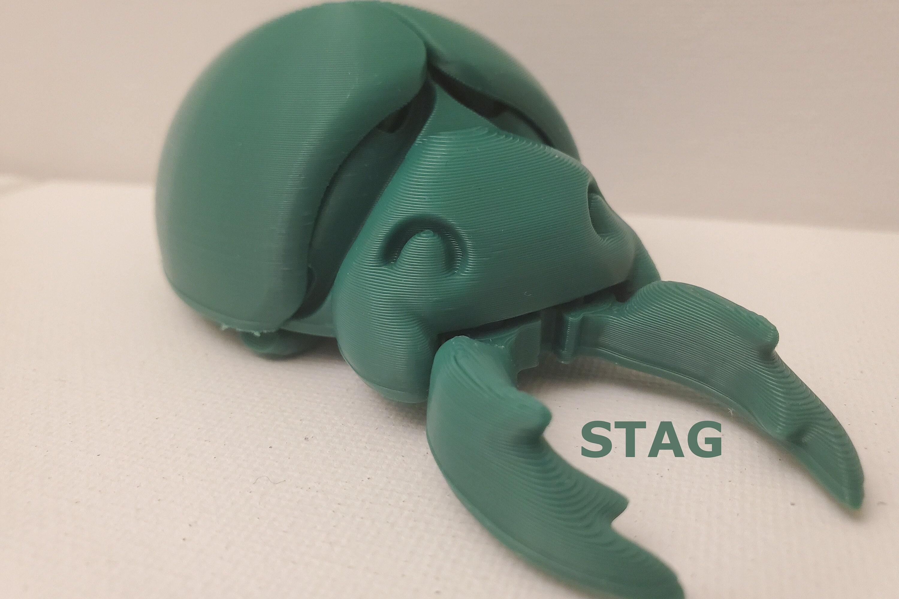 3D Printed Articulated Beetle - Etsy