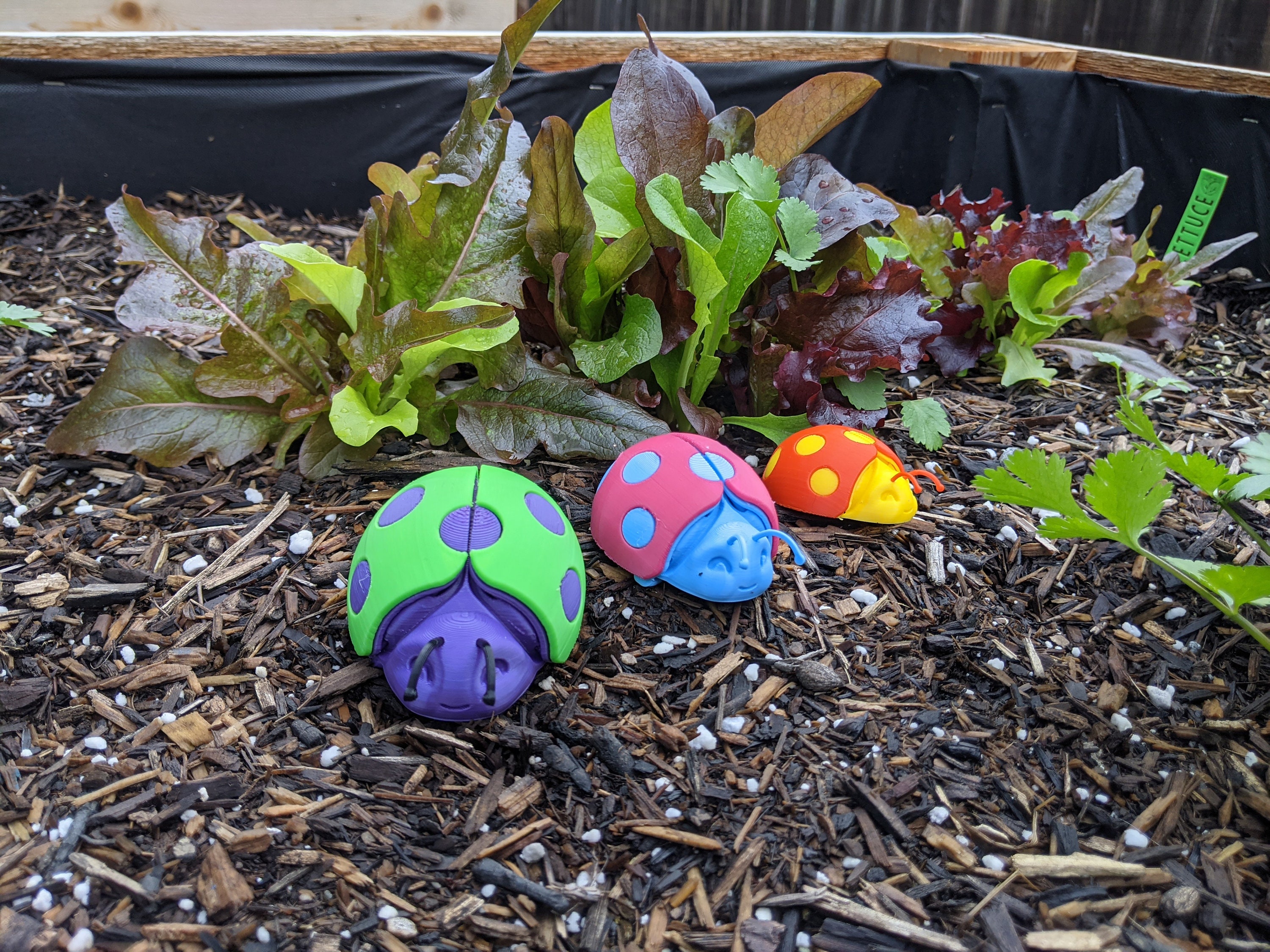 3D Printed Articulated Ladybug - Choose Your Own Colors! - Etsy