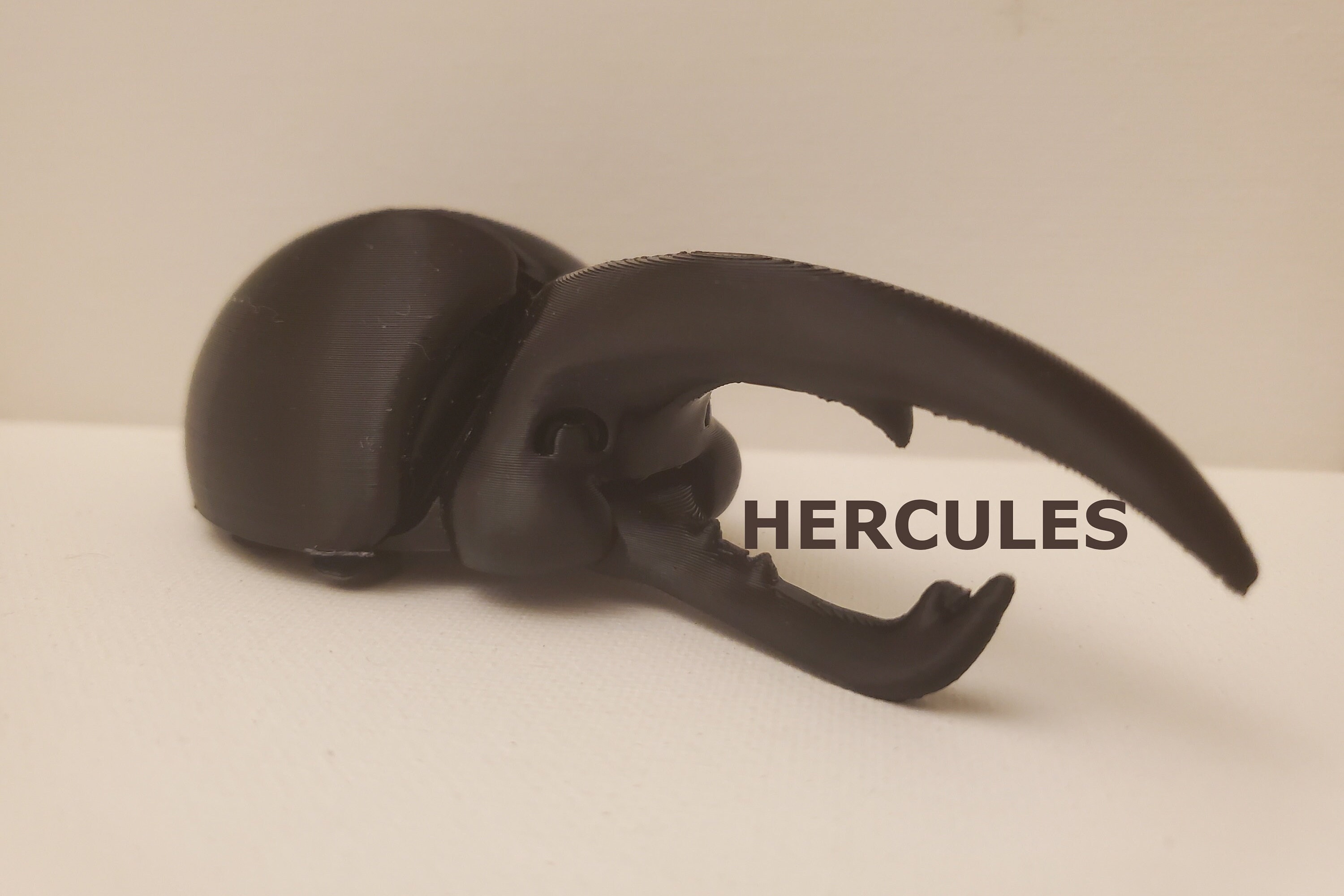 3D Printed Articulated Beetle - Etsy