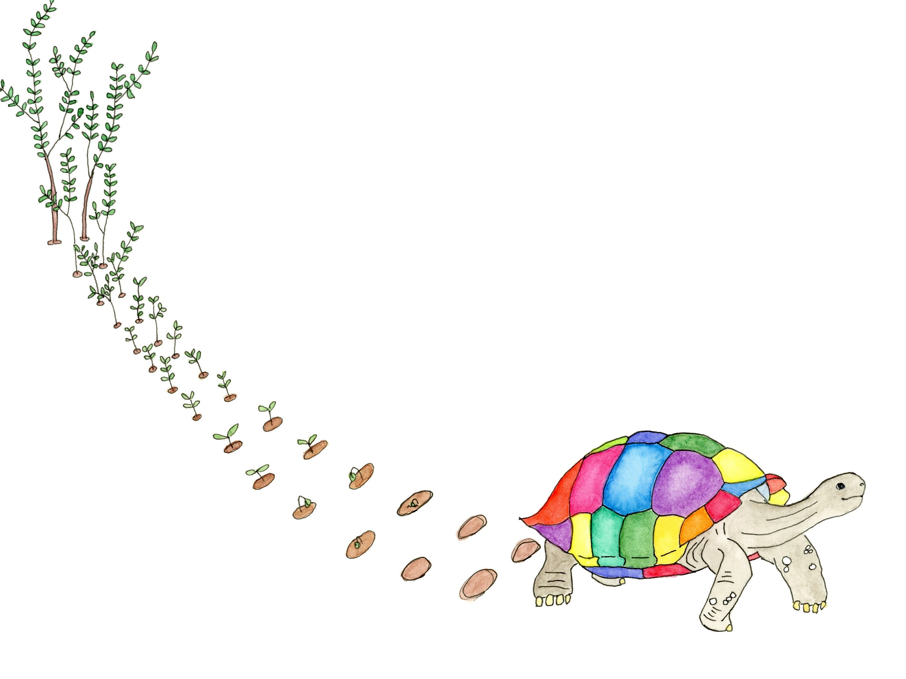 Blooming and Growing, Turtle Footprint Art, Watercolor Turtle, Art ...