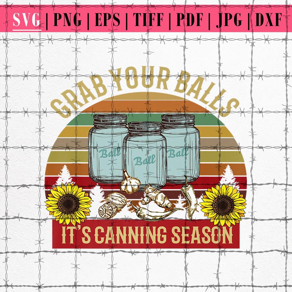 Canning SVG Bundle DXF PNG jpeg Grab Your Balls svg Canning | Etsy