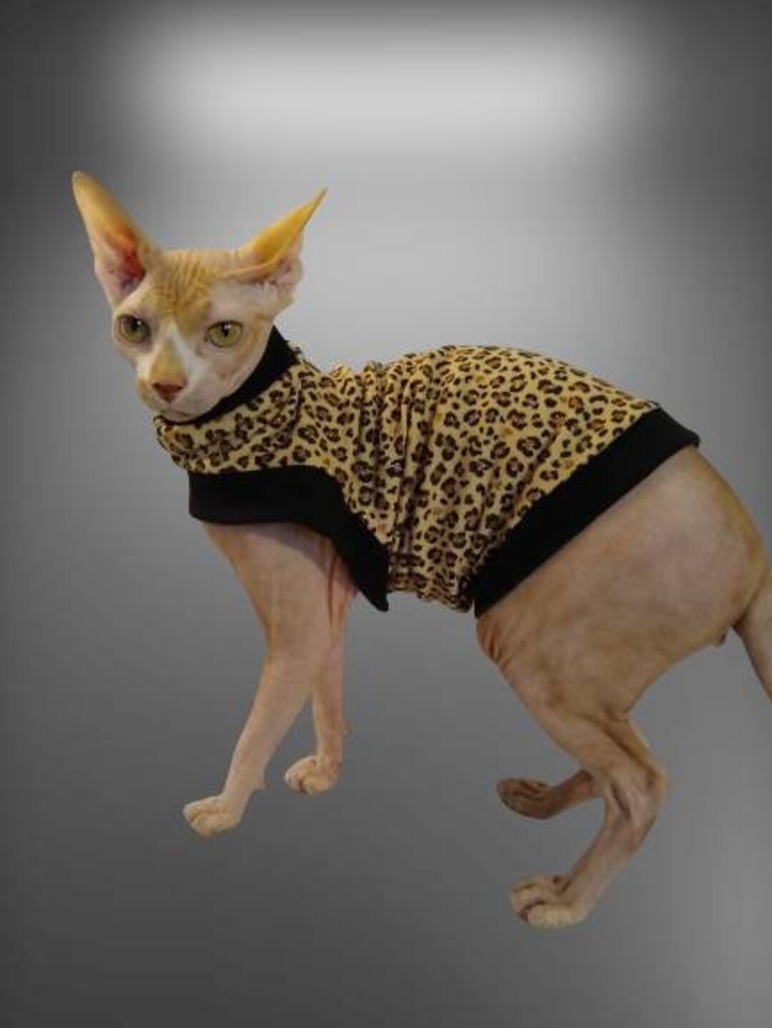 Leopard Print Sphynx Shirt - Etsy