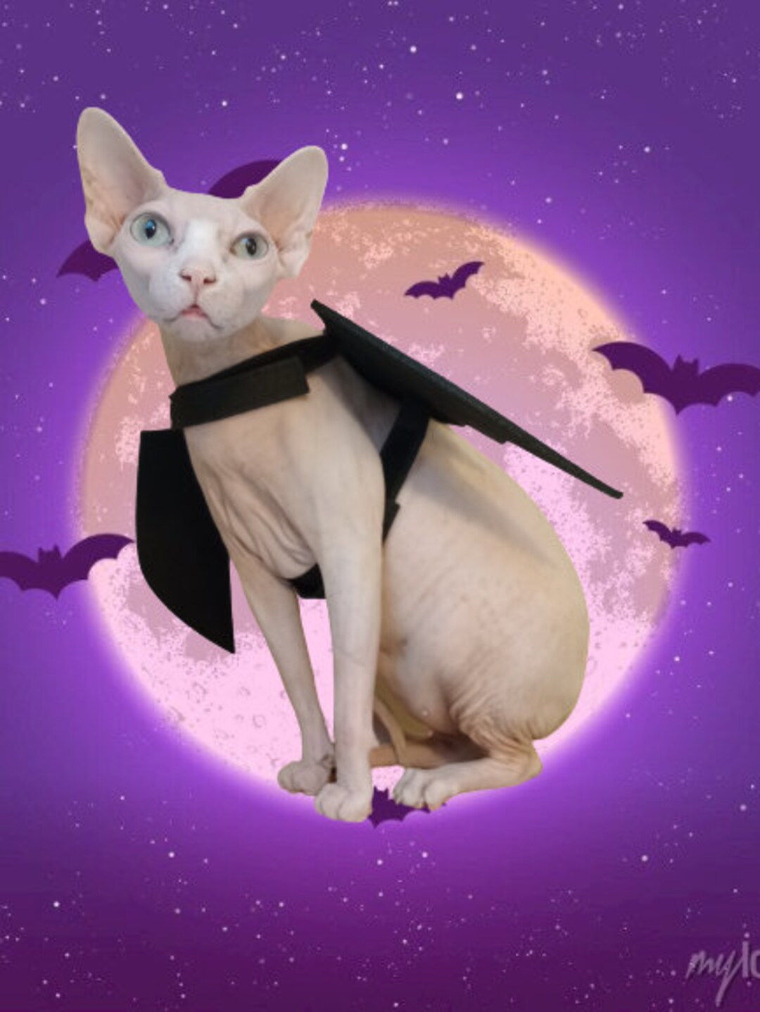 Sphynx Cat Bat Wings - Etsy