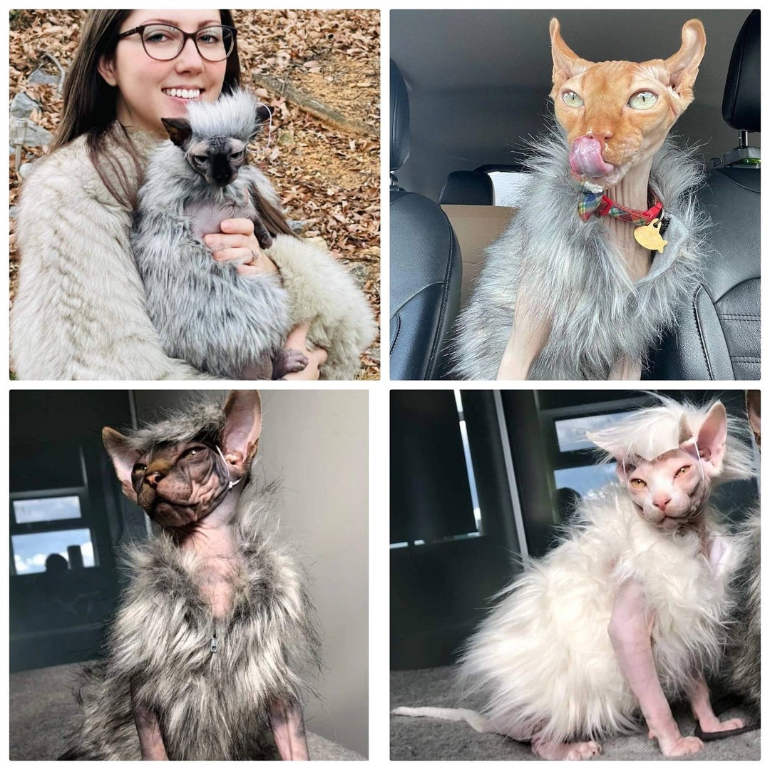 Faux Fur Sphynx Vest - Etsy