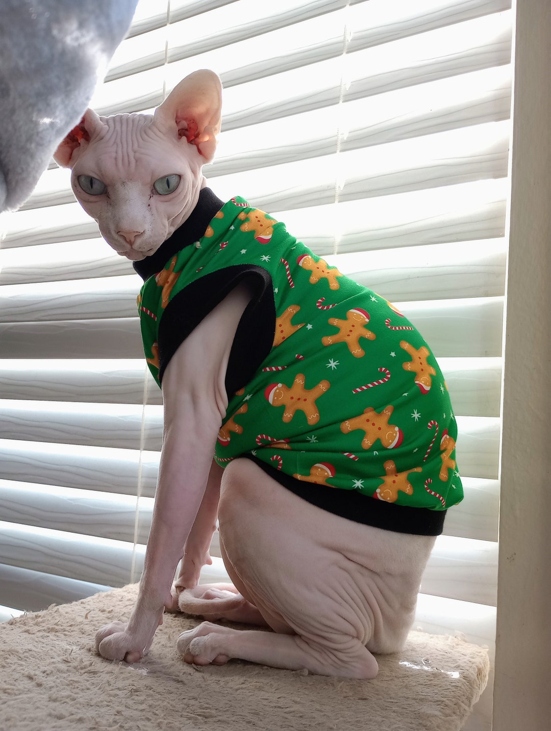 Green Gingerbread Sphynx Shirt - Etsy