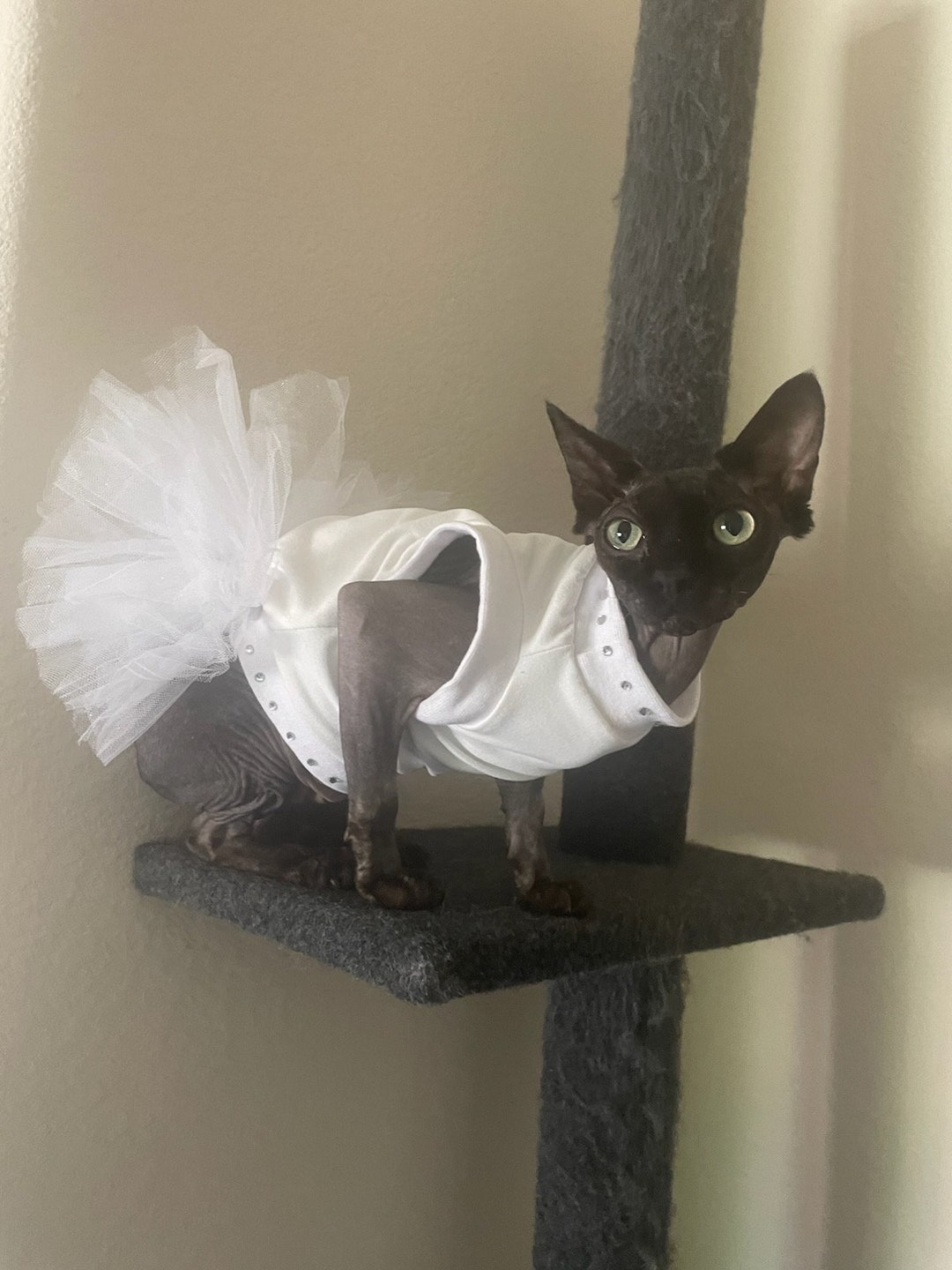Bedazzled White Wedding Sphynx Tutu - Etsy