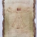 Vitruvian Man Handmade Scrolls by Leonardo Da Vinci. Wall Home Decor ...