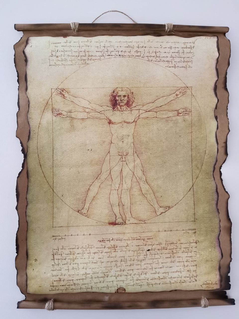 Vitruvian Man Handmade Scrolls by Leonardo Da Vinci. Wall Home - Etsy