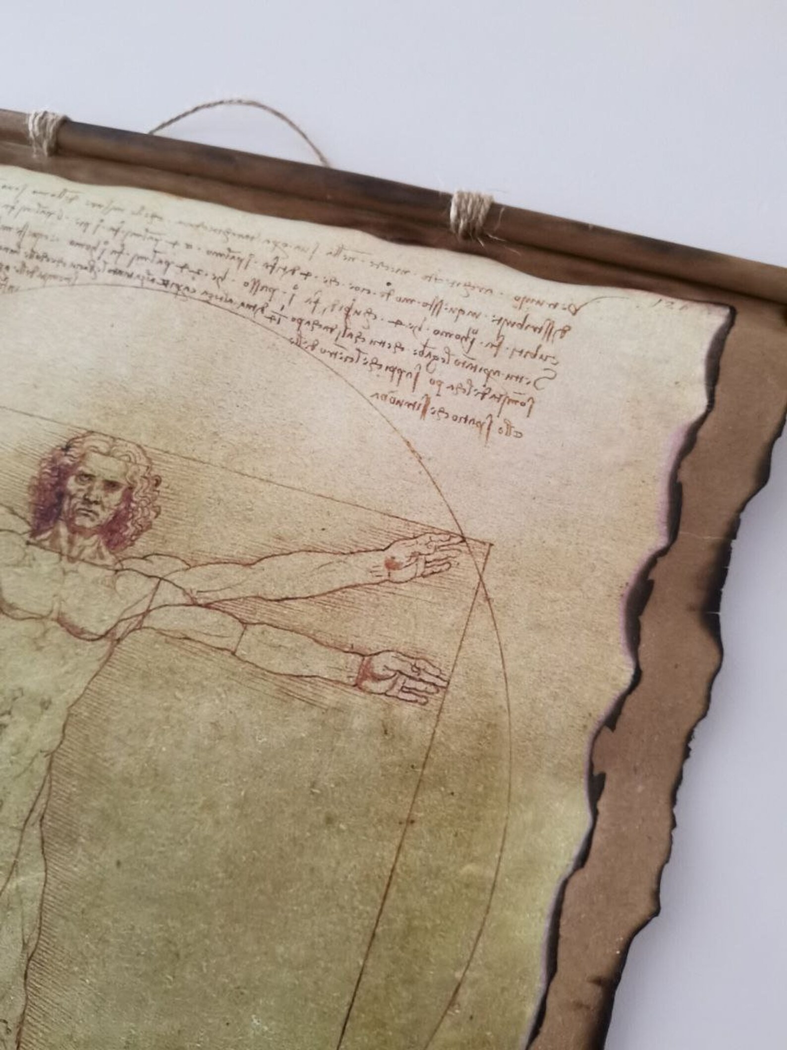 Vitruvian Man Handmade Scrolls by Leonardo Da Vinci. Wall Home - Etsy