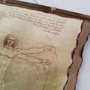 Vitruvian Man Handmade Scrolls by Leonardo Da Vinci. Wall Home Decor ...