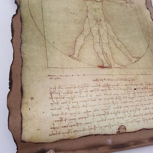 Vitruvian Man Handmade Scrolls by Leonardo Da Vinci. Wall Home Decor ...