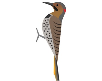 Northern Flicker Yellow-shafted Fine Art Print - Etsy