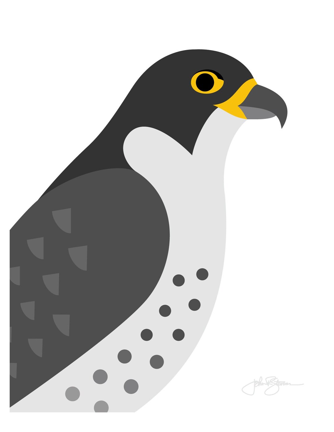 Peregrine Falcon - Vivid Series - Fine Art Print - Etsy