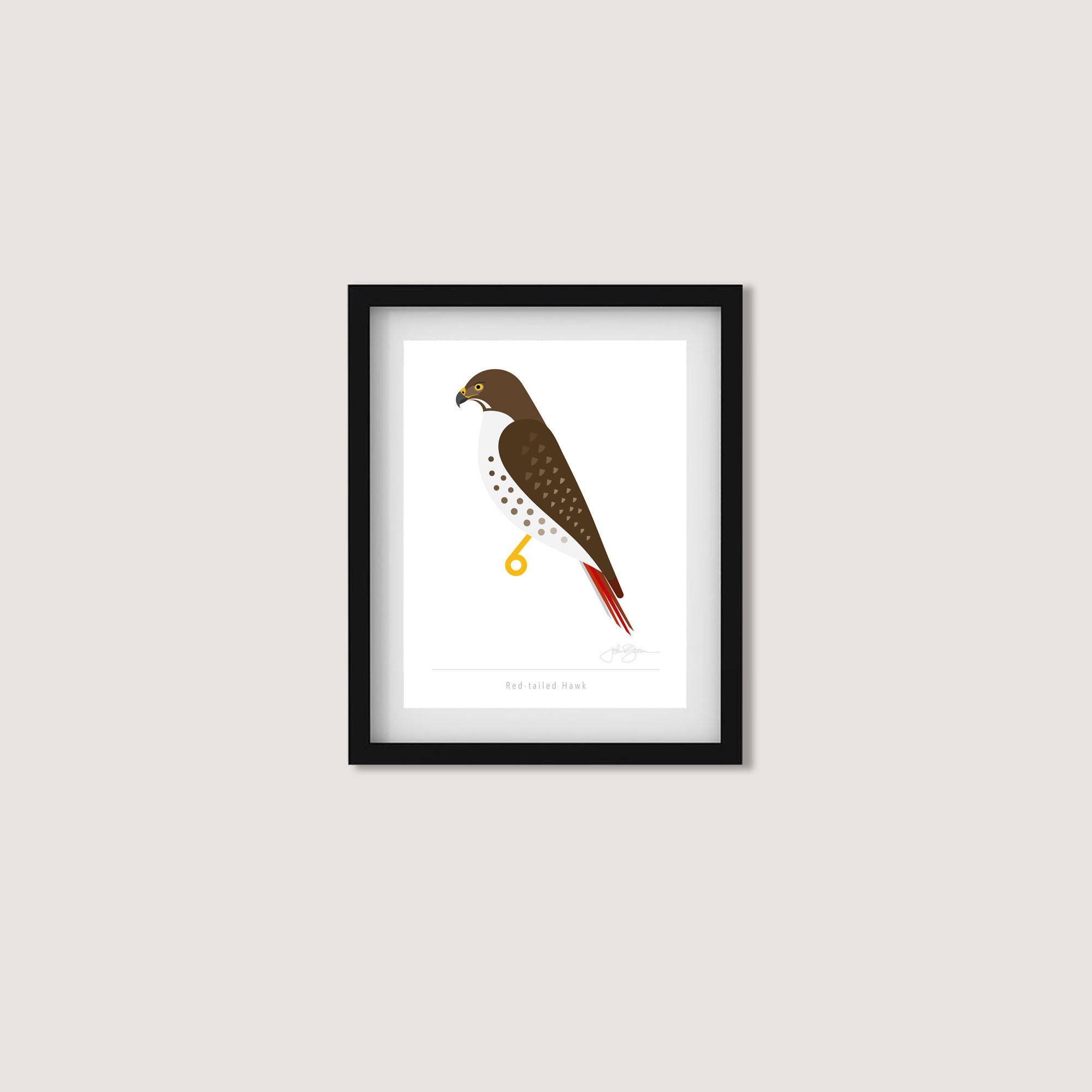 Red-tailed Hawk - Fine Art Bird Print - Etsy