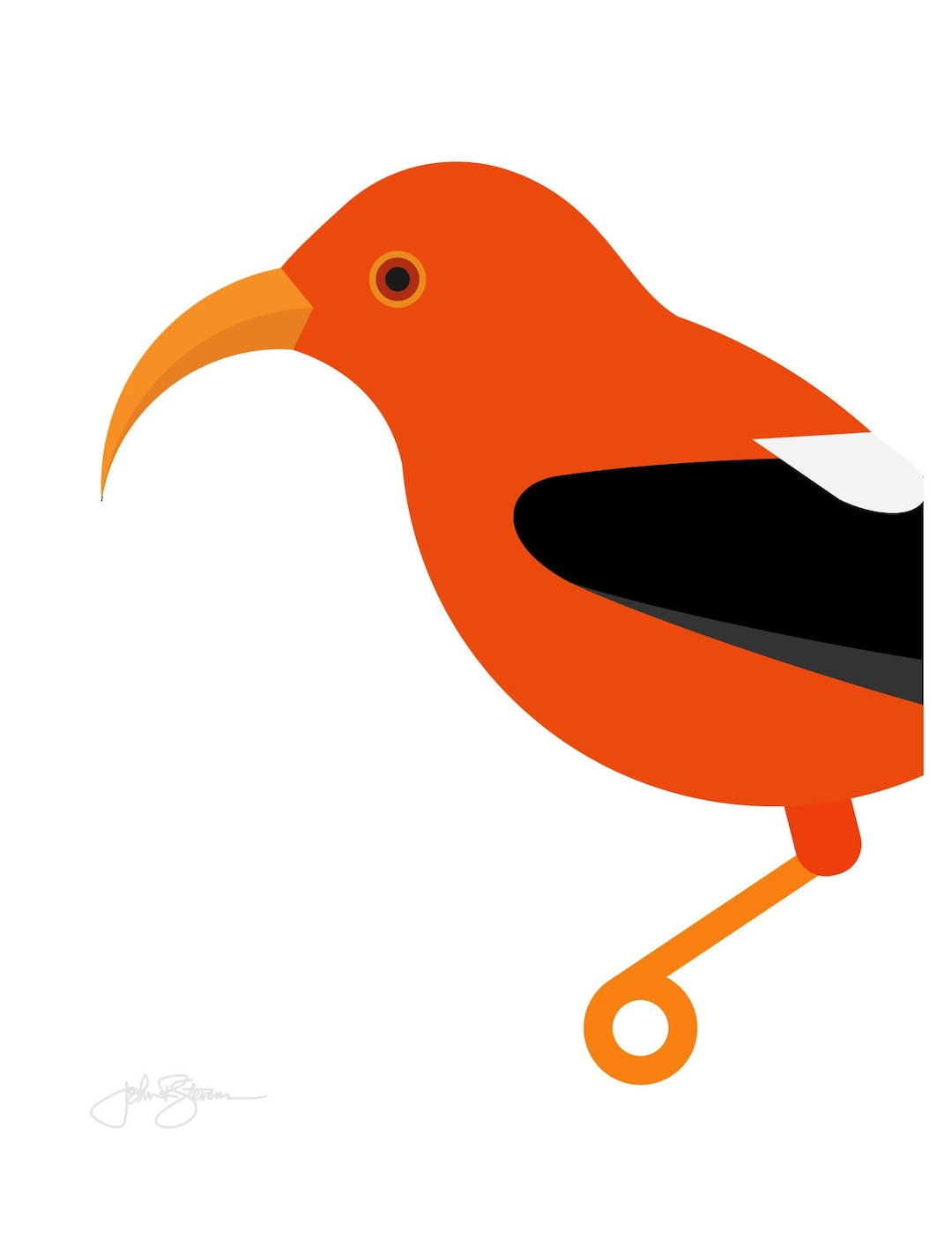 I'iwi Hawaiian Honeycreeper - Vivid Series - Fine Art Print - Etsy