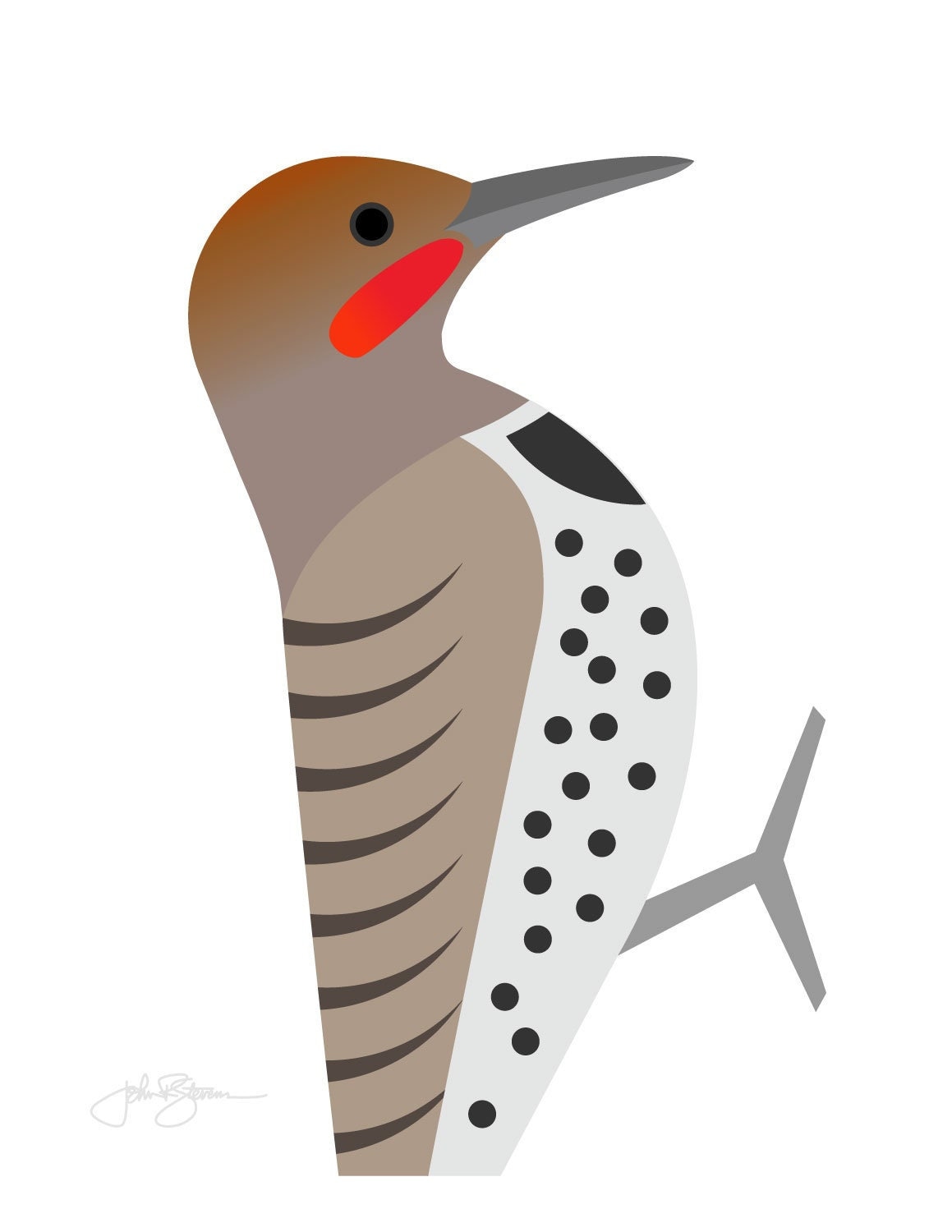 Northern Flicker Red Shafted