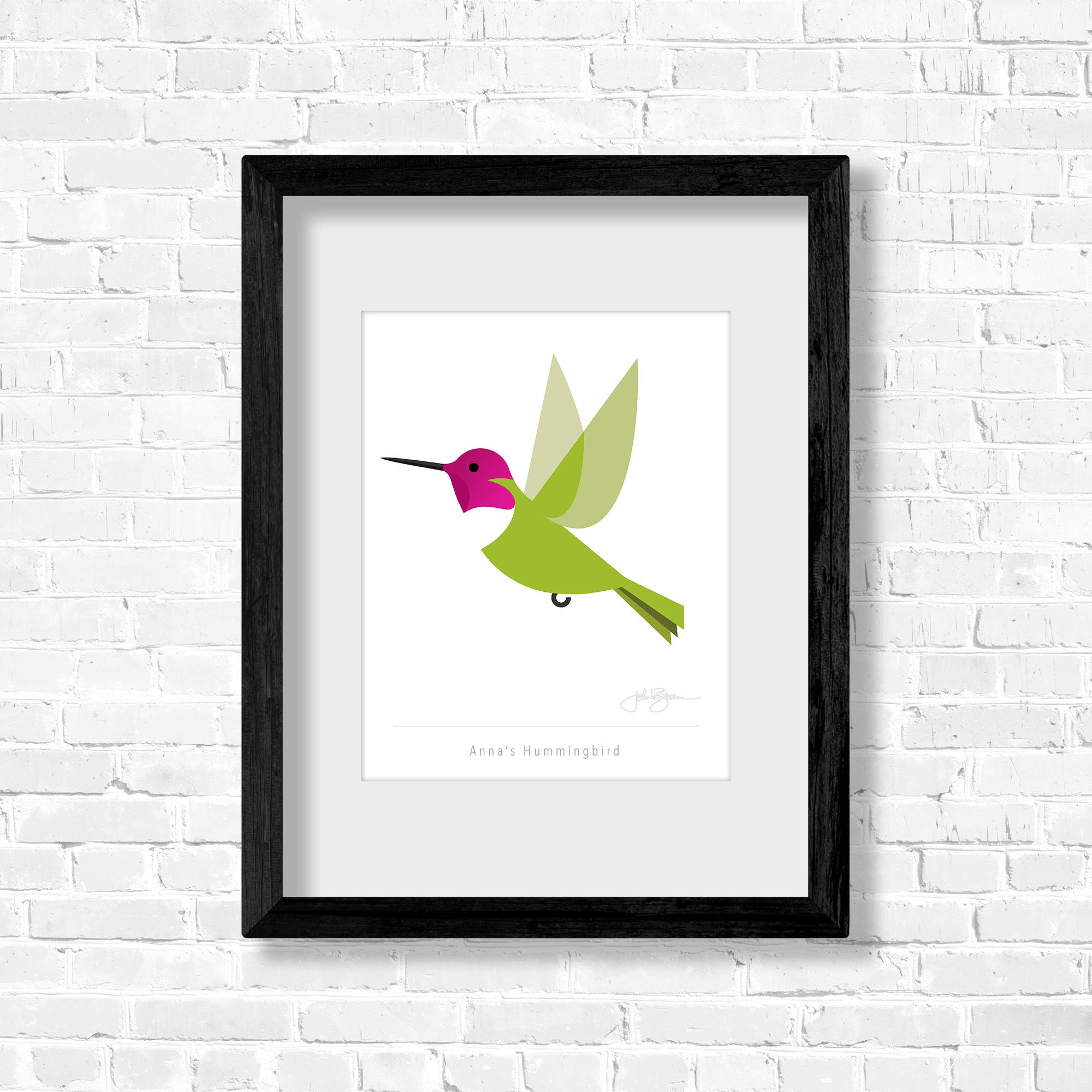 Anna's Hummingbird - Fine Art Print - Etsy