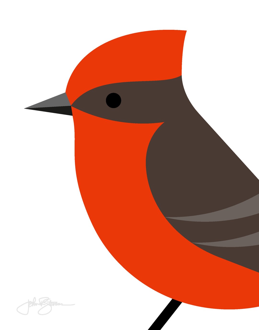 Vermilion Flycatcher - Vivid Series - Fine Art Print - Etsy