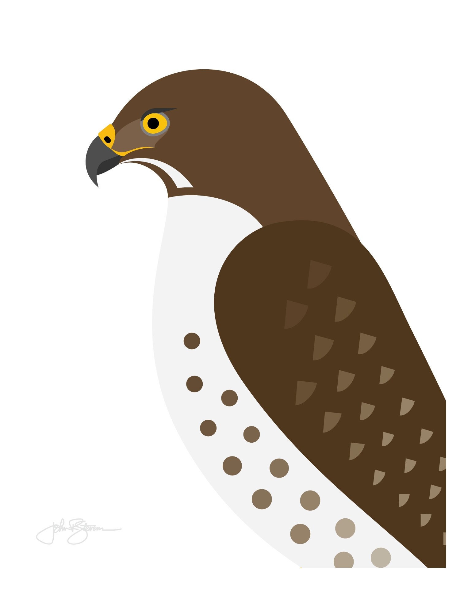 Red Tailed Hawk Clipart