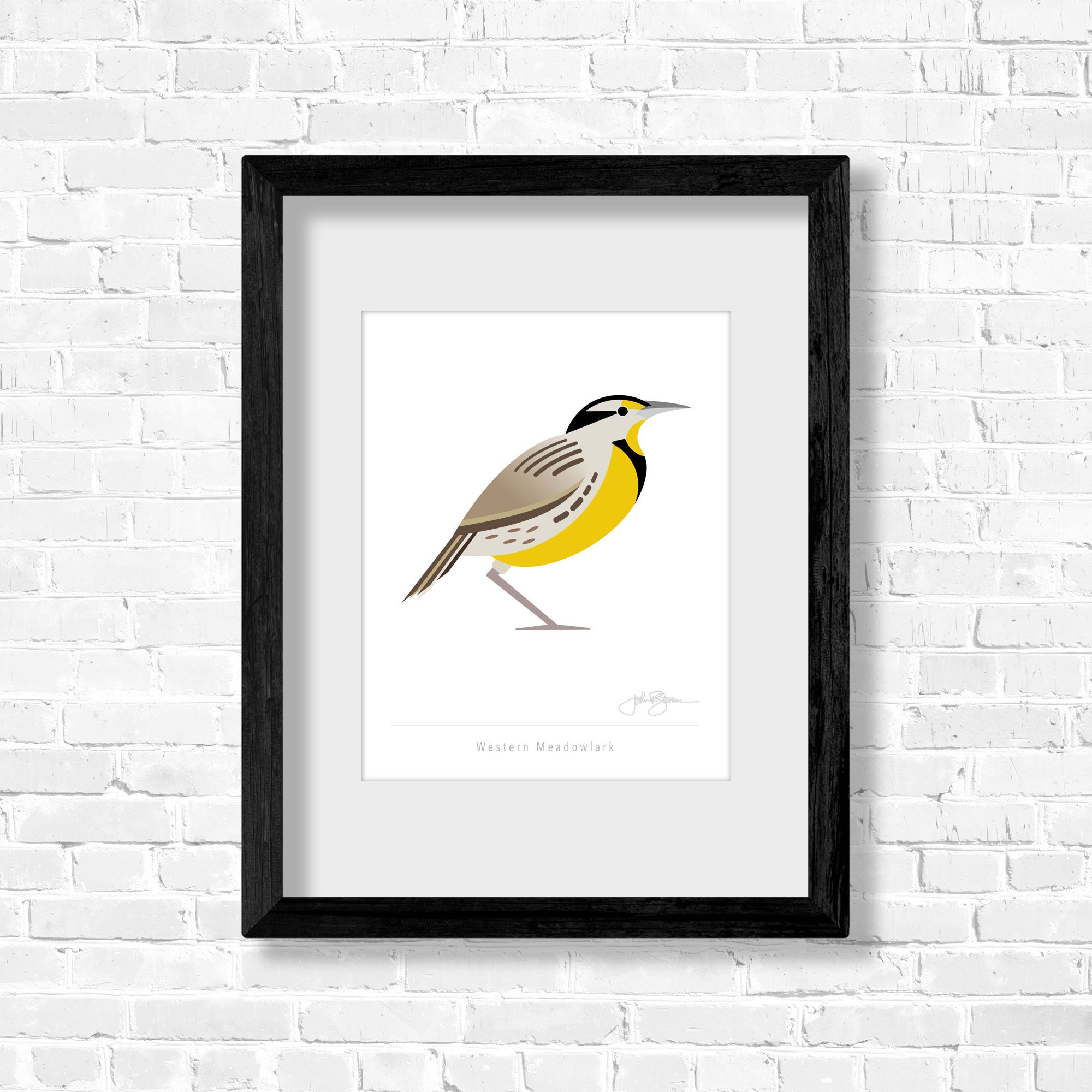 Western Meadowlark - Fine Art Bird Print - Etsy