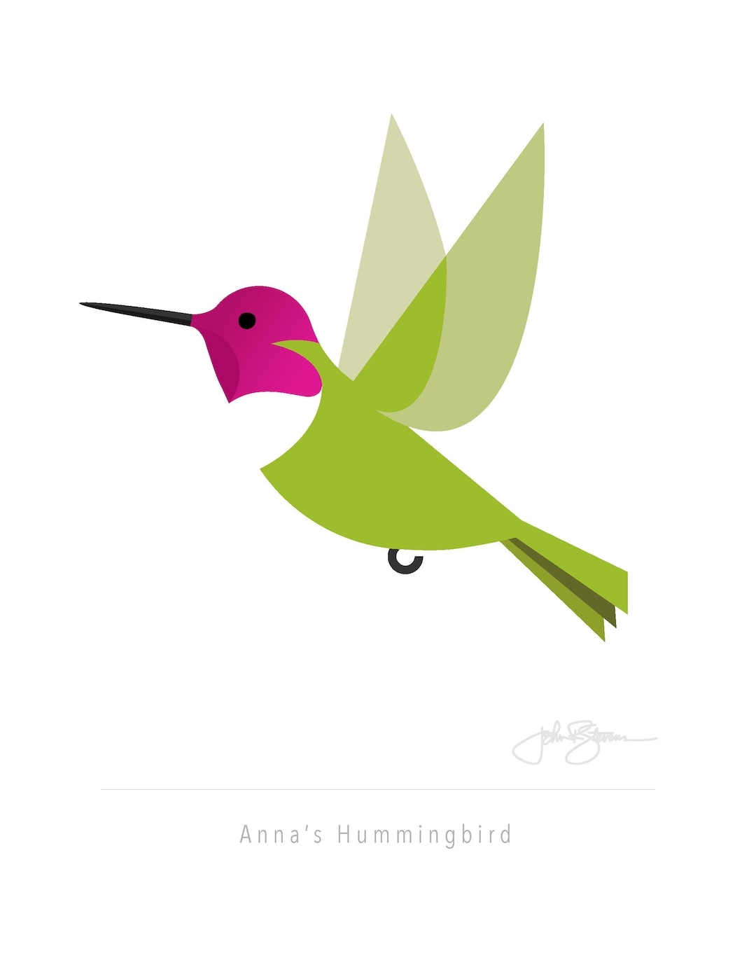 Anna's Hummingbird - Fine Art Print - Etsy