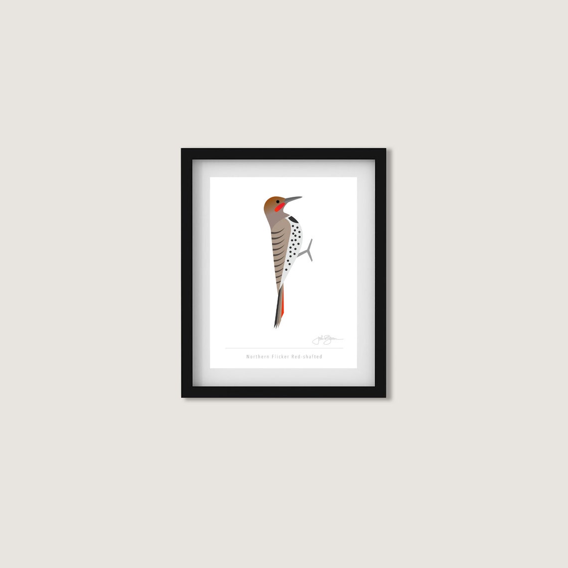Northern Flicker Red-shafted Fine Art Print - Etsy