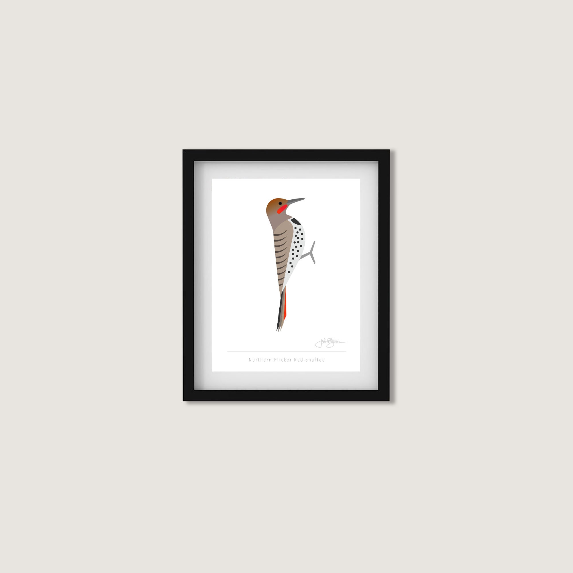 Northern Flicker Red-shafted Fine Art Print - Etsy