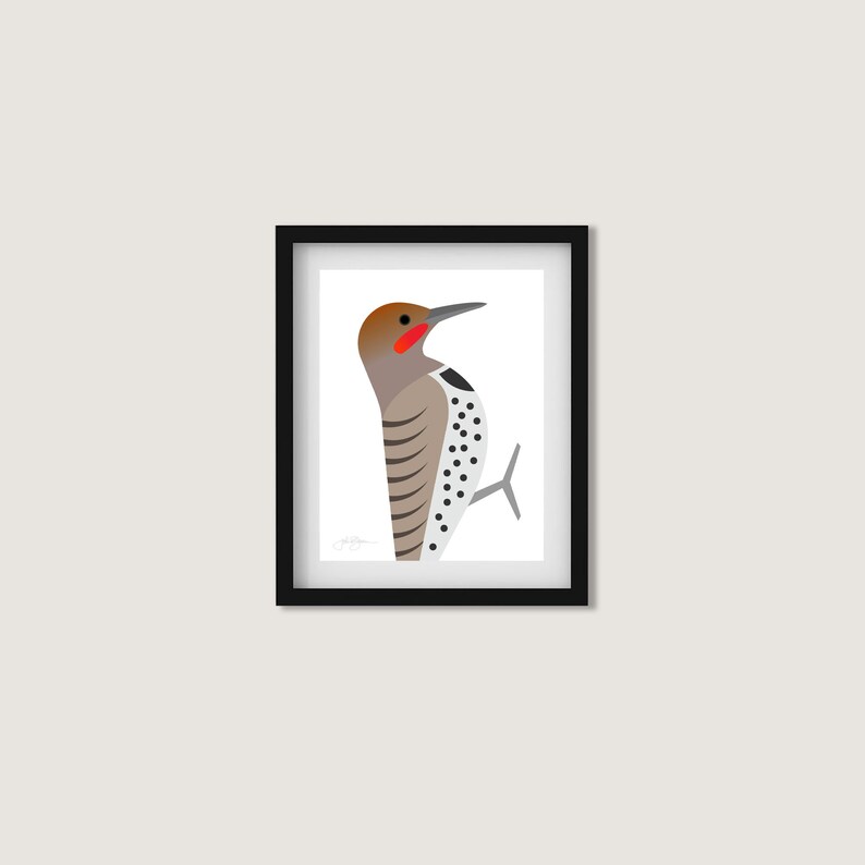 Northern Flicker Red-shafted Fine Art Print - Etsy