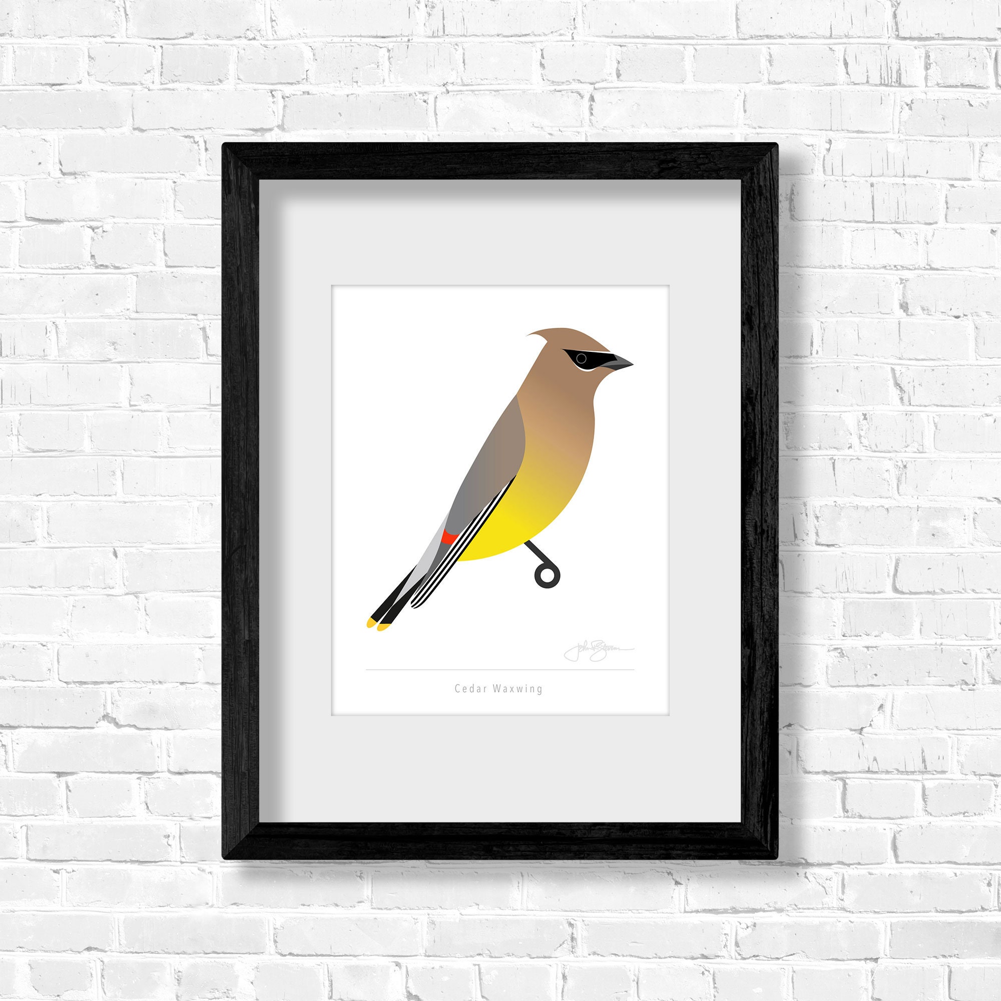 Cedar Waxwing - Fine Art Bird Print - Etsy