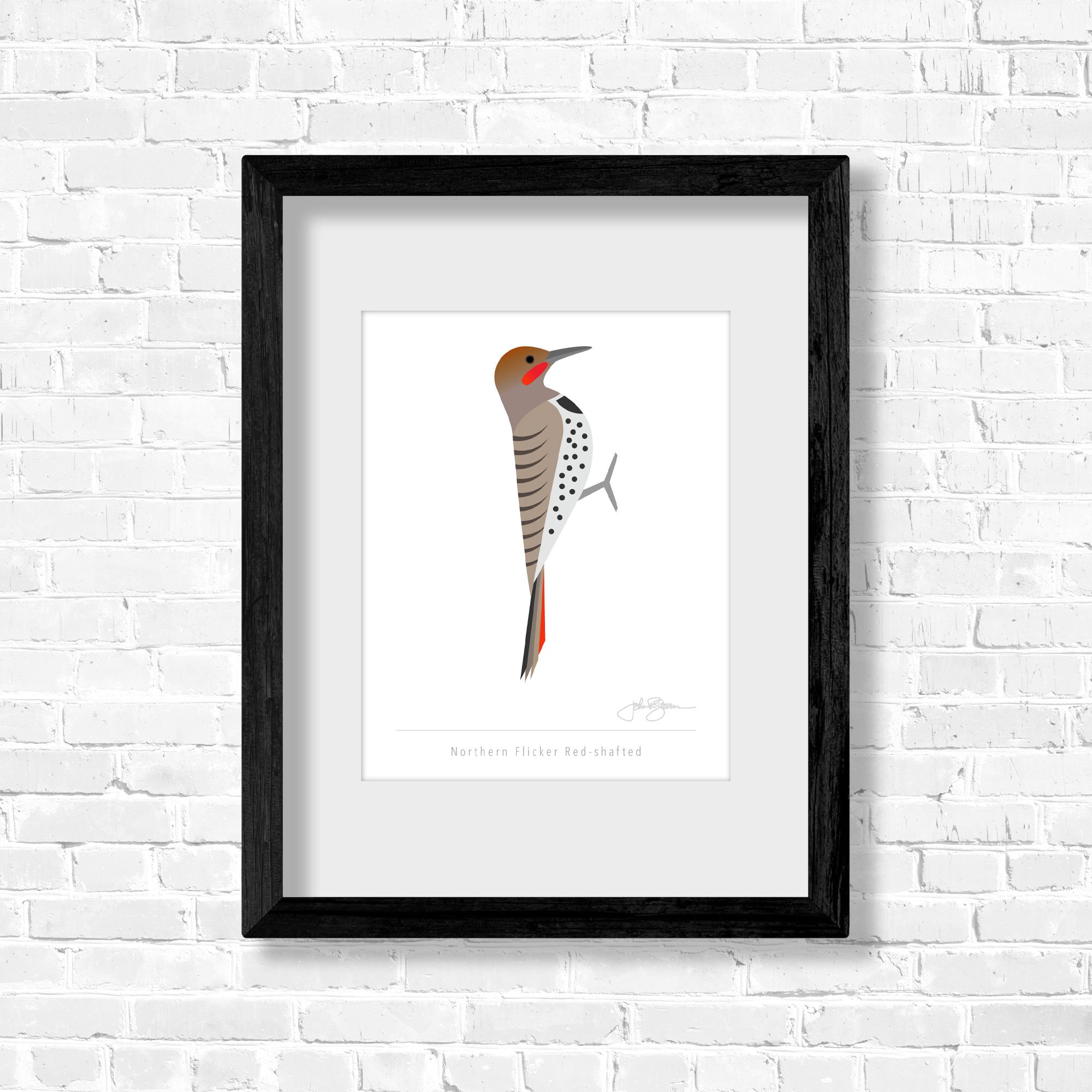 Northern Flicker Red-shafted Fine Art Print - Etsy