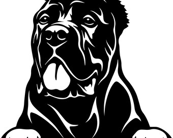 Cane Corso Inside I292 8 Wide Sticker Decal Dog - Etsy