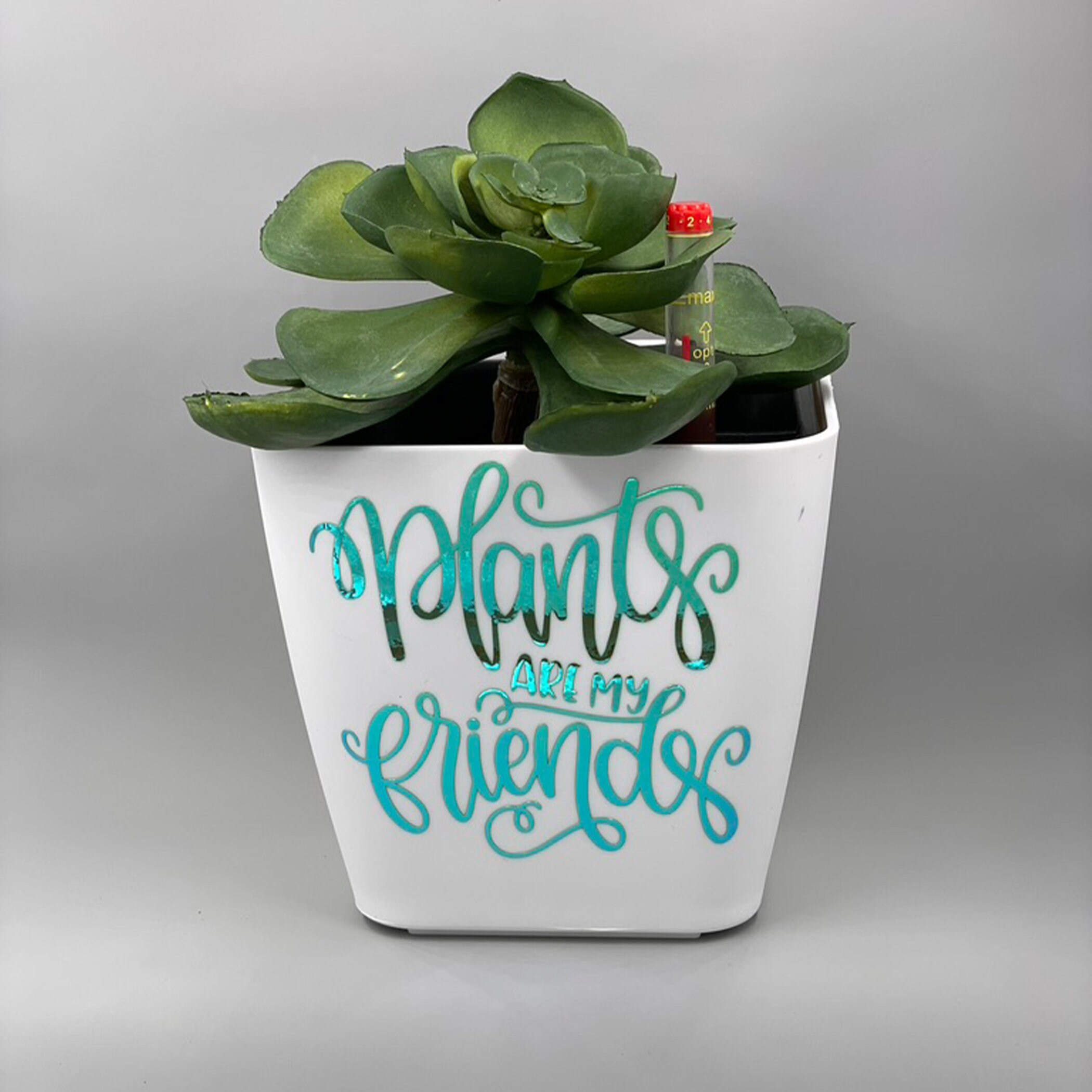 Craft Supplies & Tools Plant life Succulents Planter Pot Water Level ...