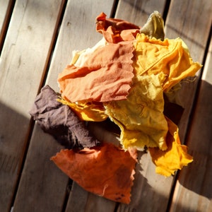 Natural Dyeing With Food Waste Ebook - an In-depth Guide Into the World ...