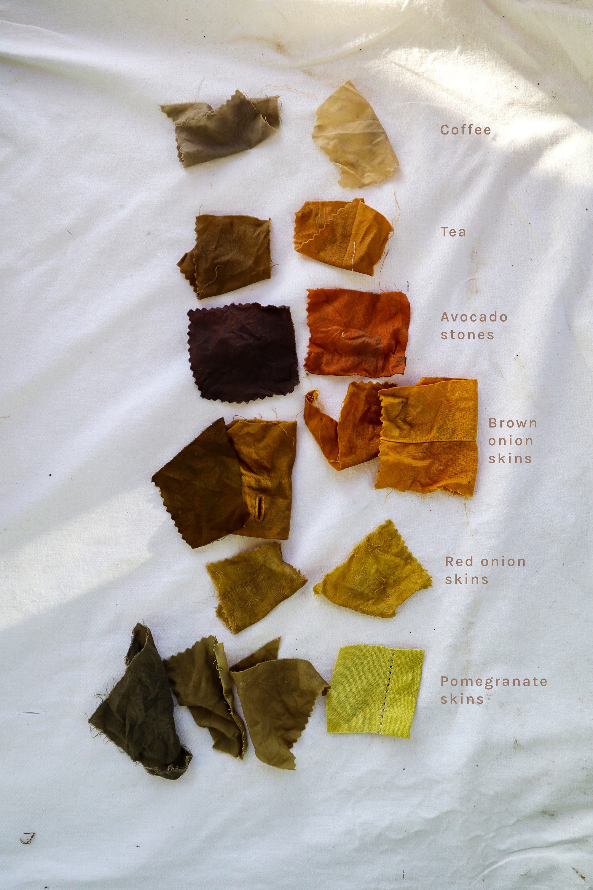 Natural Dyeing With Food Waste Ebook an In-depth Guide Into the World ...
