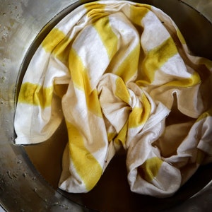 Natural Dyeing With Food Waste Ebook - an In-depth Guide Into the World ...