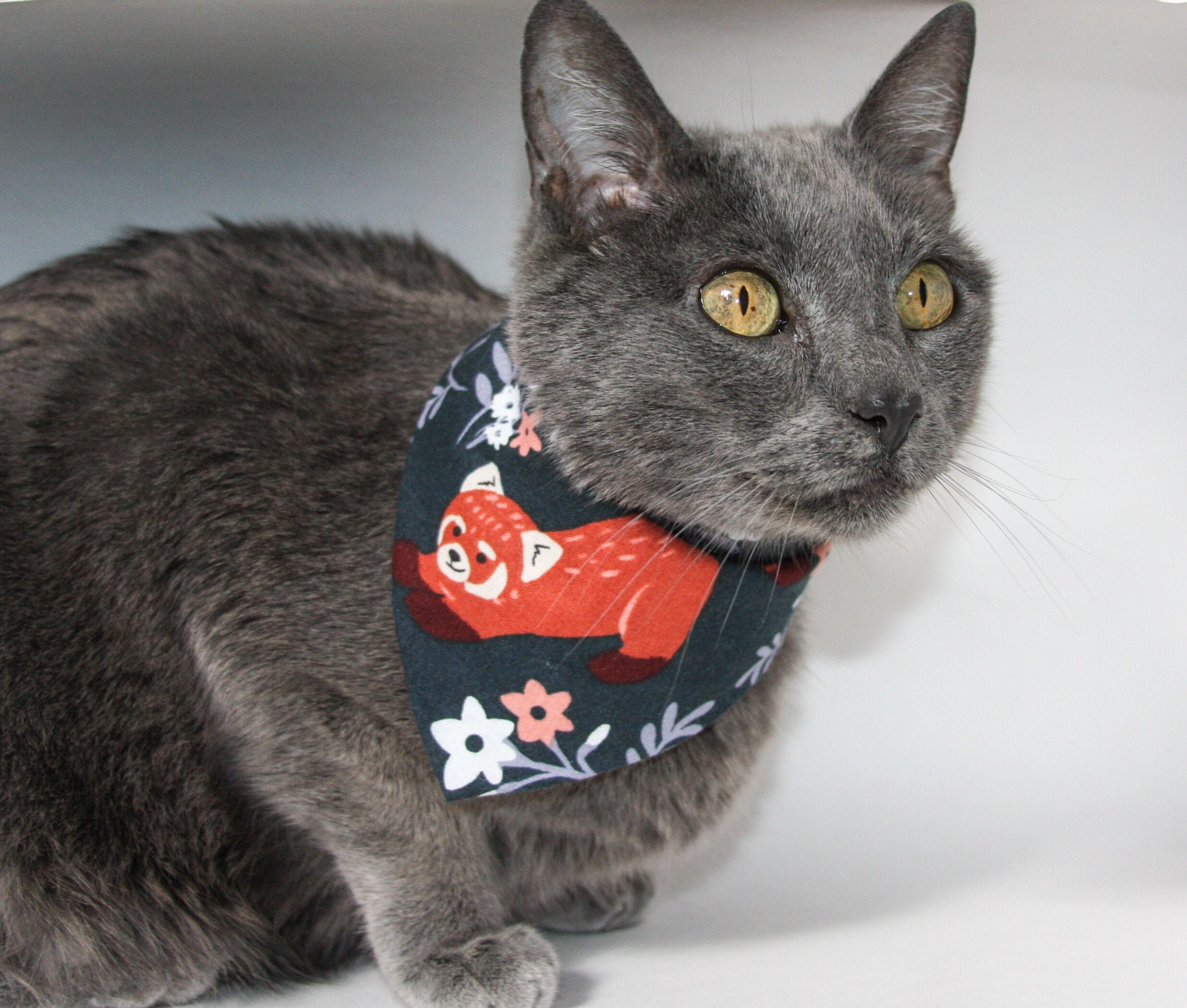 Cat Bandana Red Panda Bandana Small Pet Bandana Animal - Etsy Ireland