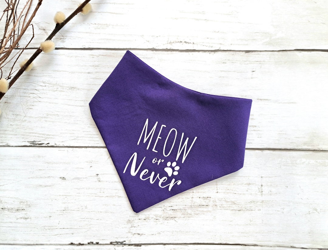 Cat Bandana, Meow or Never Bandana, Pet Bandana, Cat Bandana Collar ...