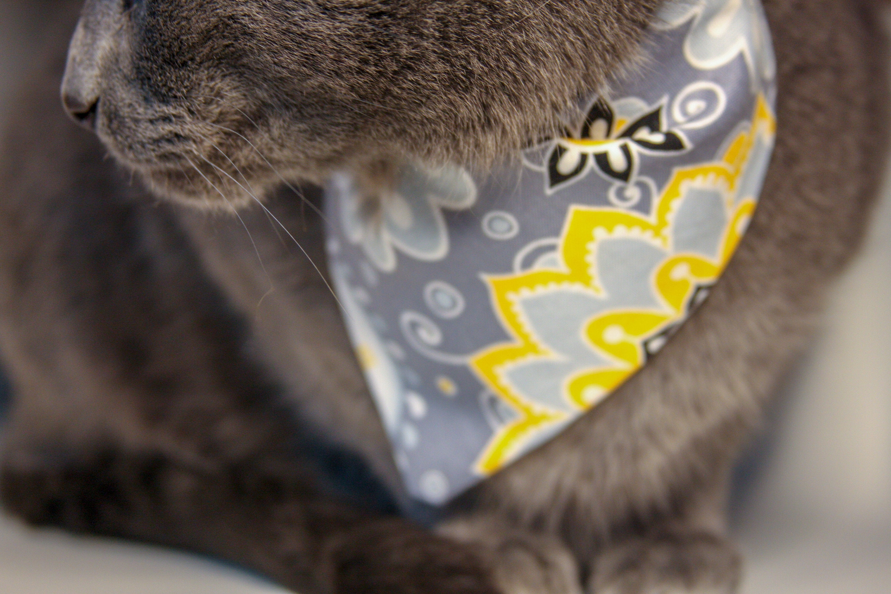 Cat Bandana Custom Pet Bandana Floral Cat Bandana Small Pet - Etsy.de