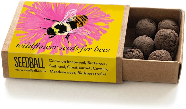 Bumblebee Boxes Pack of Three Seed Balls Grow Your Own Wildflowers to ...