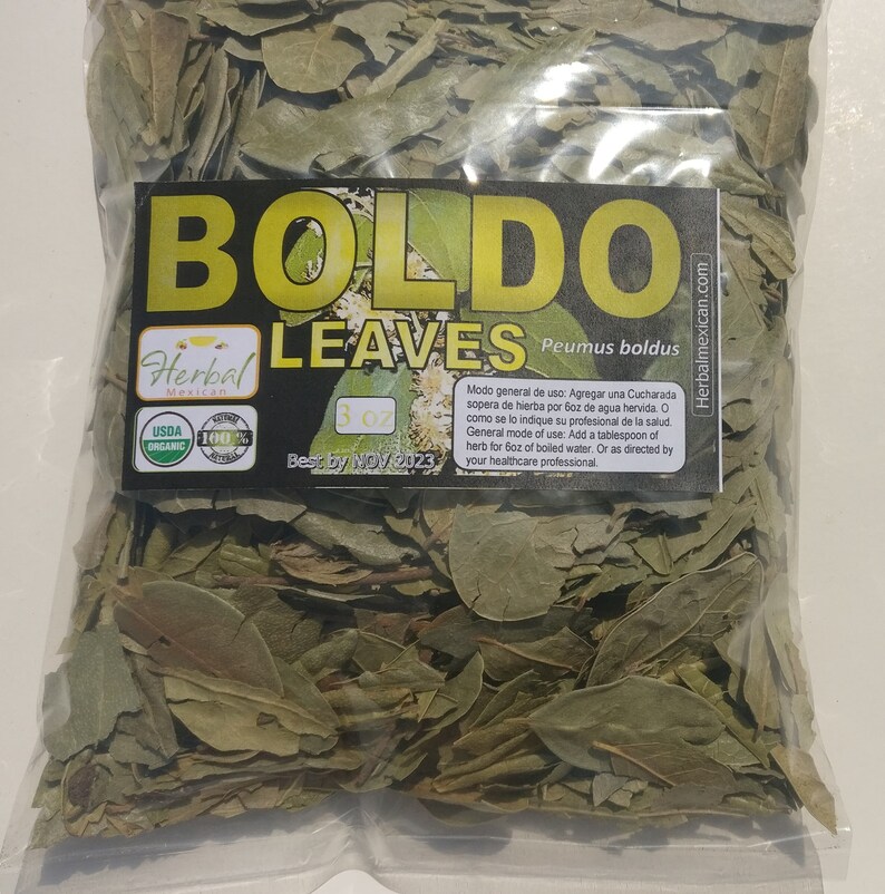 Boldo Hojas De Boldo Te De Boldo Peumus Boldus Boldo Tea - Etsy