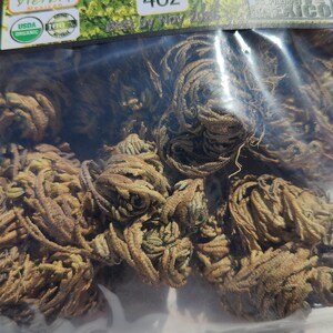 Doradilla 4oz Jericho Flower (whole Herb) Resurrection Plant Flor De ...