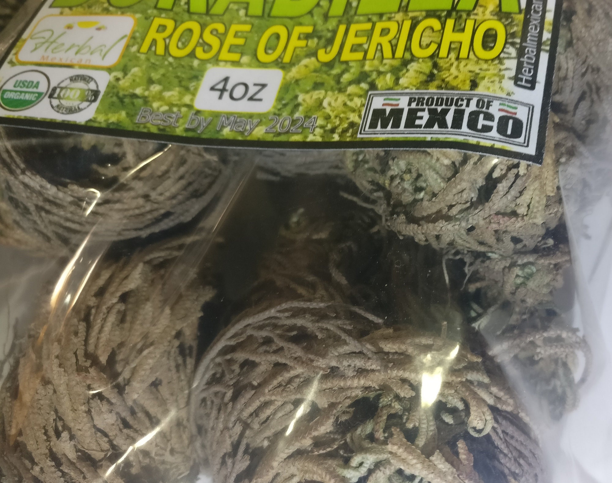 Doradilla 4oz Jericho Flower whole Herb Resurrection Plant - Etsy