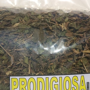 Prodigiosa Amula herb Organic Prodijiosa Wild Crafted | Etsy