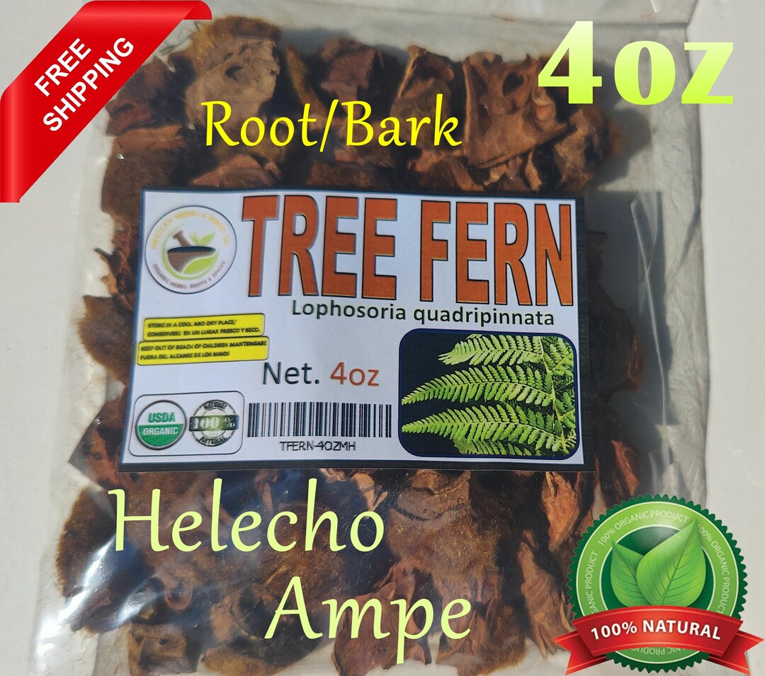 4oz Tree Fern Root-bark, Woolly Tree Fern, Ampe, Helecho Ampe, Helecho ...