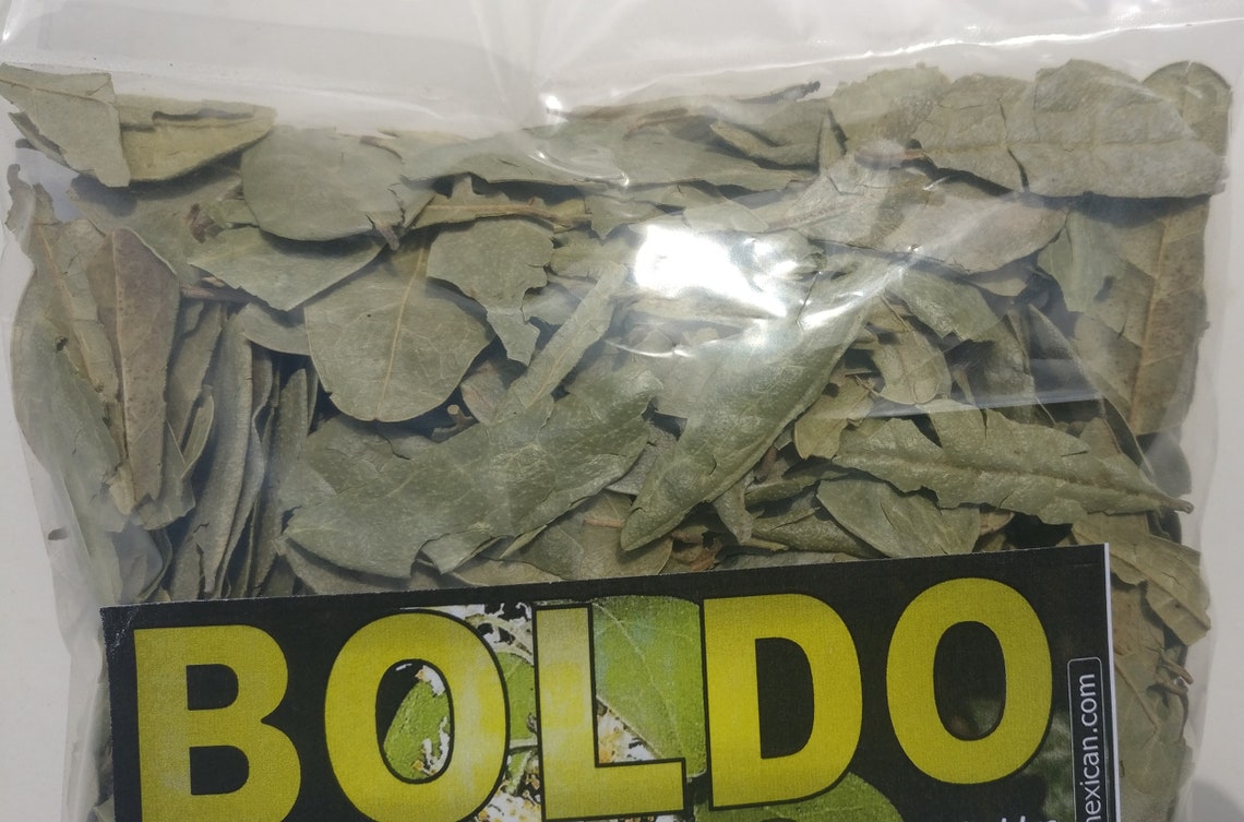Boldo Hojas De Boldo Te De Boldo Peumus Boldus Boldo Tea - Etsy