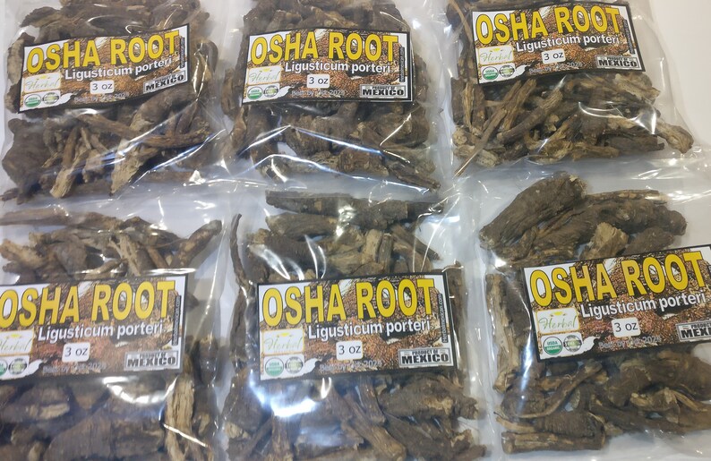 3oz Osha Root Chuchupate Bear Root Ligusticum Porteri - Etsy