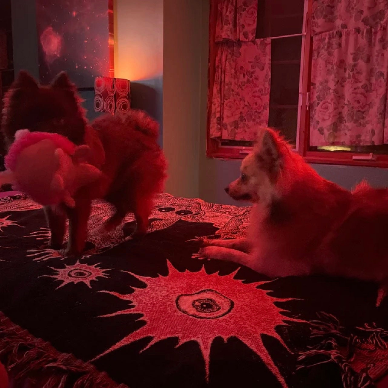 Sea Monkey Party Vintage Sci Fi Woven Throw Blanket: Vintage - Etsy