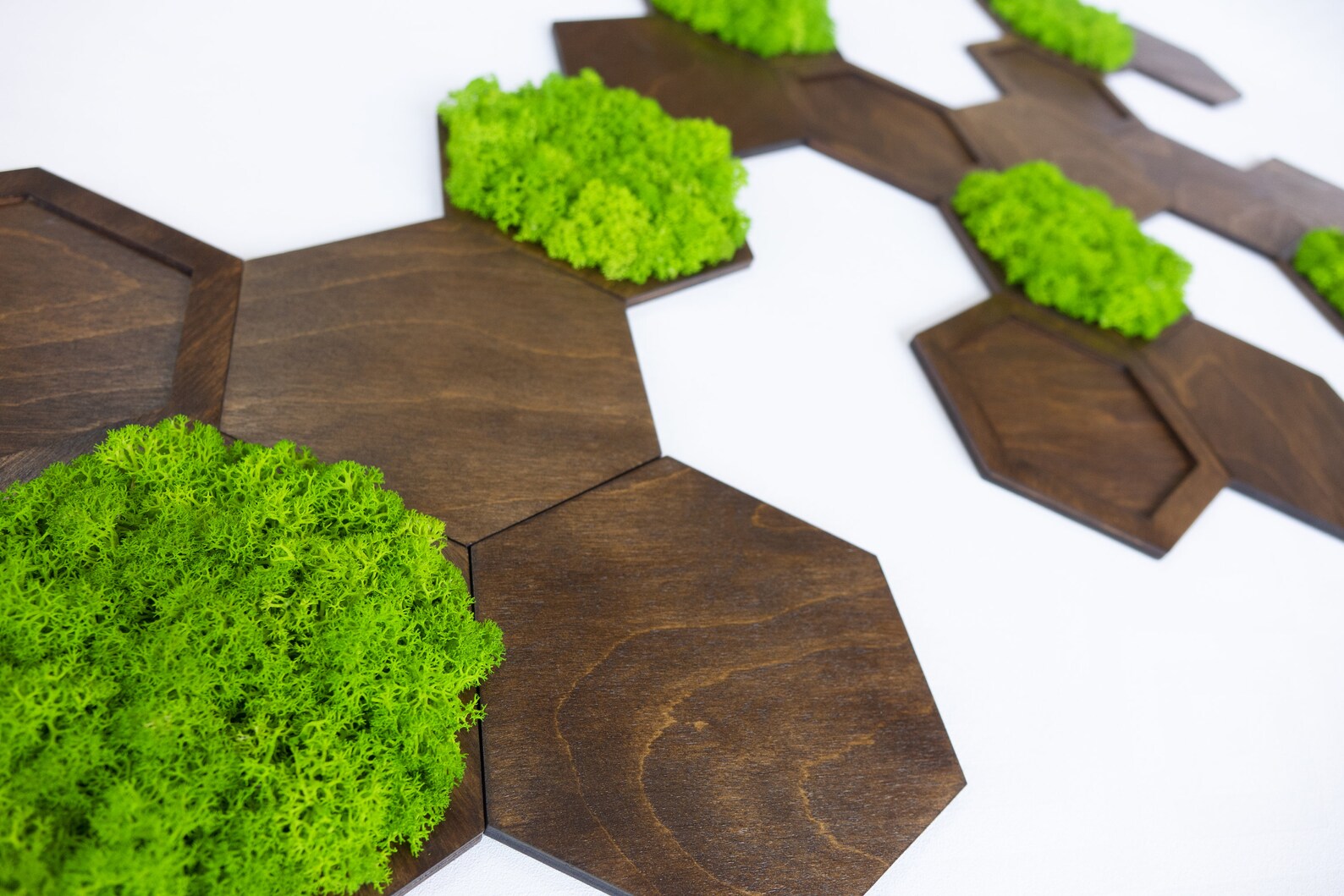 Moss Hexagon Wall Art Wood 3D Art Honeycomb Tiles Set of 19 - Etsy