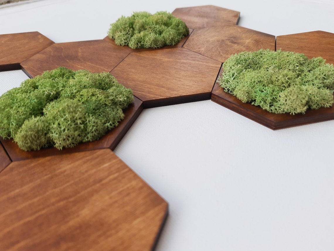 Hexagon Wood & Moss Wall Art Honeycomb Wall Decor 3D - Etsy